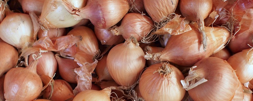 Bulk Onion Bags | Product Type | Jarvis